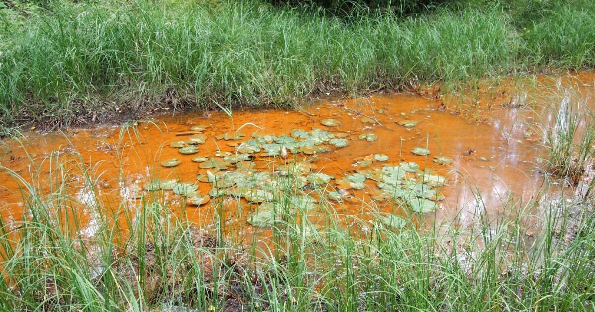 Teknik - Metagenomes and metatranscriptomes from boreal potential and ...